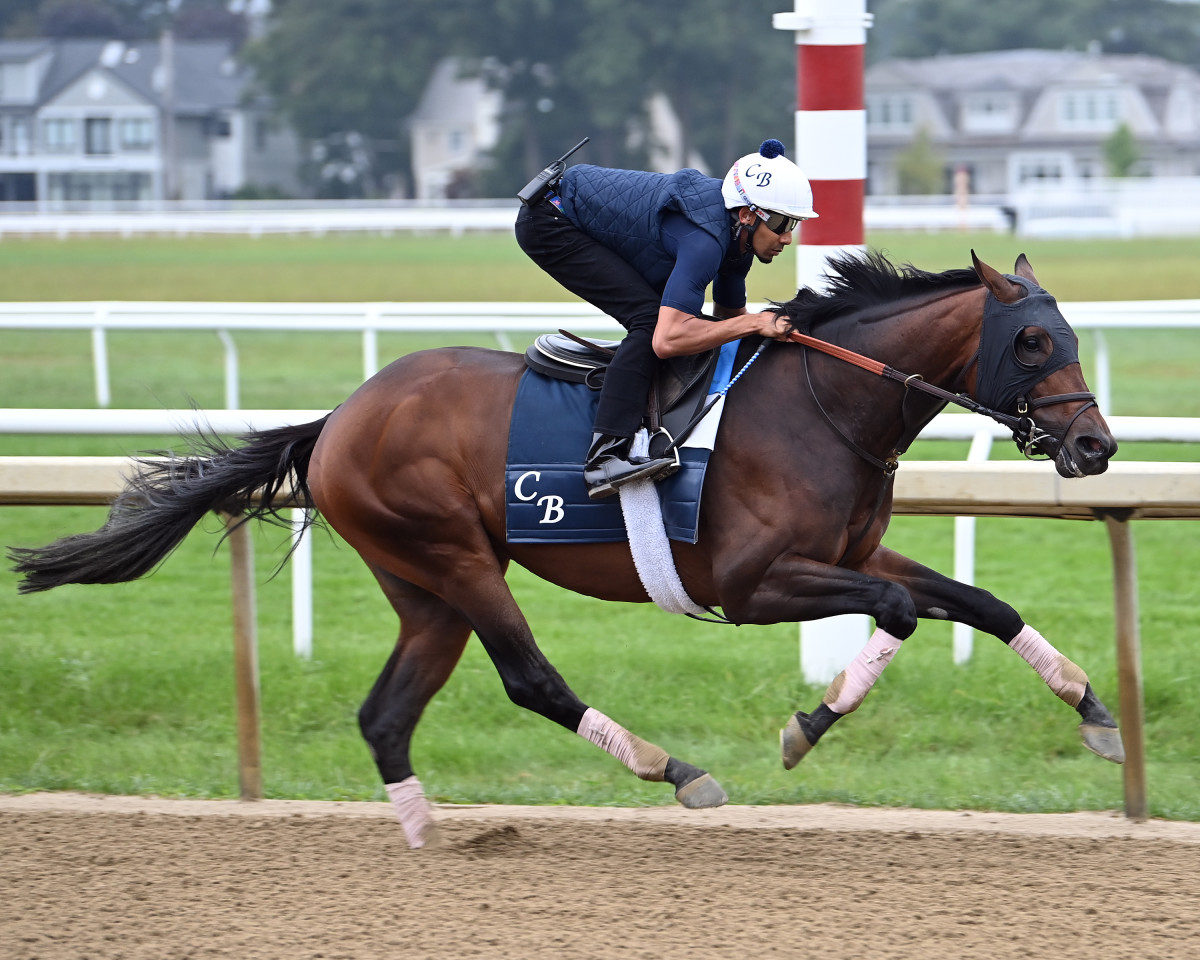 Dornoch, Fierceness Among Travers Hopefuls To Breeze Saturday At ...