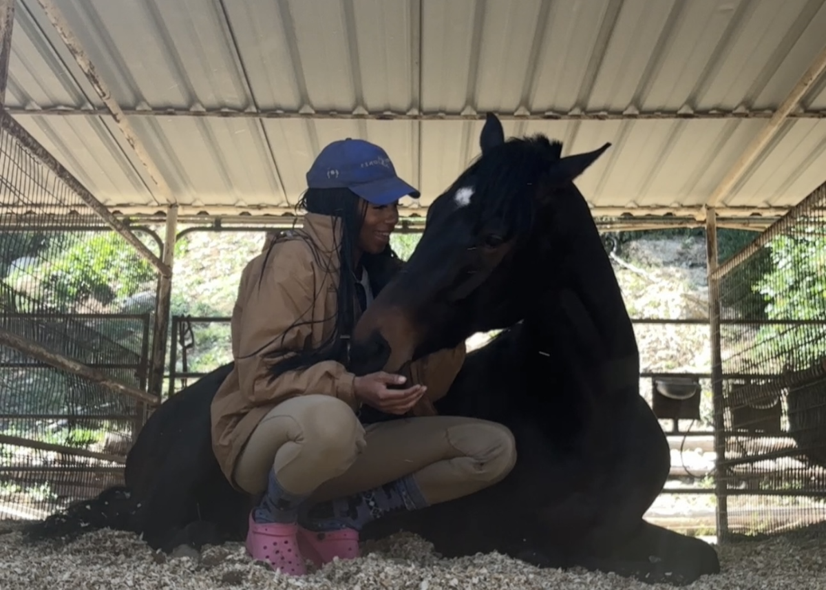 OTTB Digital Soldier Gives Rider Chanel Minnifield Olympic-Sized Dreams ...
