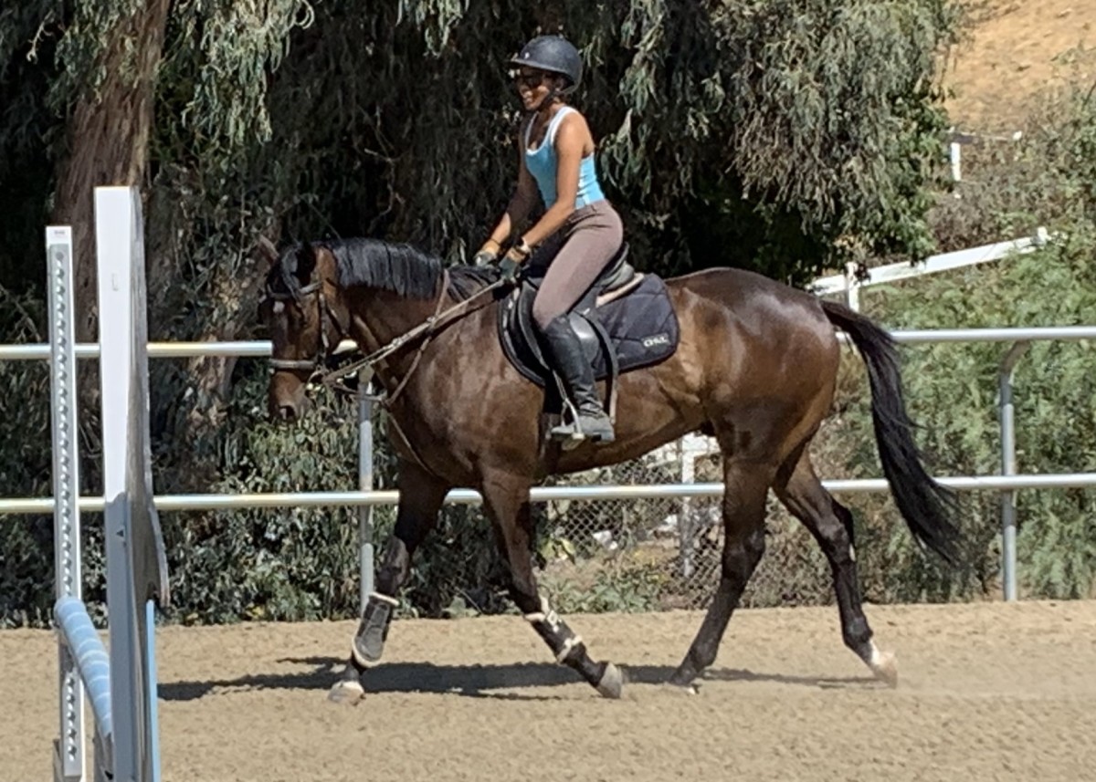 OTTB Digital Soldier Gives Rider Chanel Minnifield Olympic-Sized Dreams ...