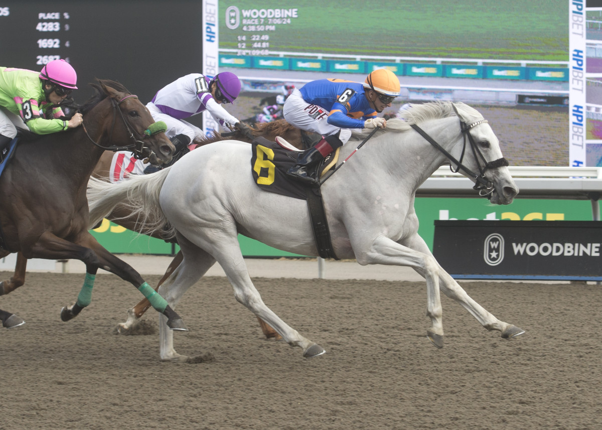 Drexler Hoping Bessarabian The 'Perfect Scenario' For Queen Macha ...