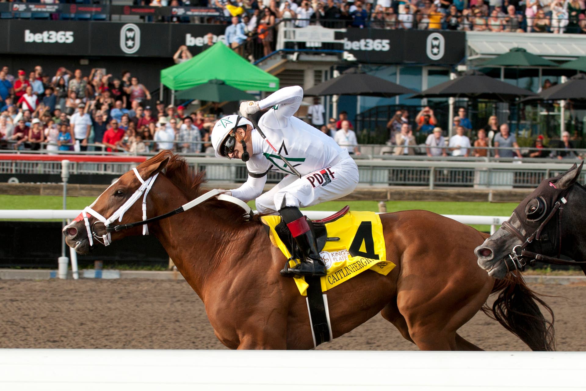 King's Plate Winner Caitlinhergrtness Returns To Woodbine For Maple ...