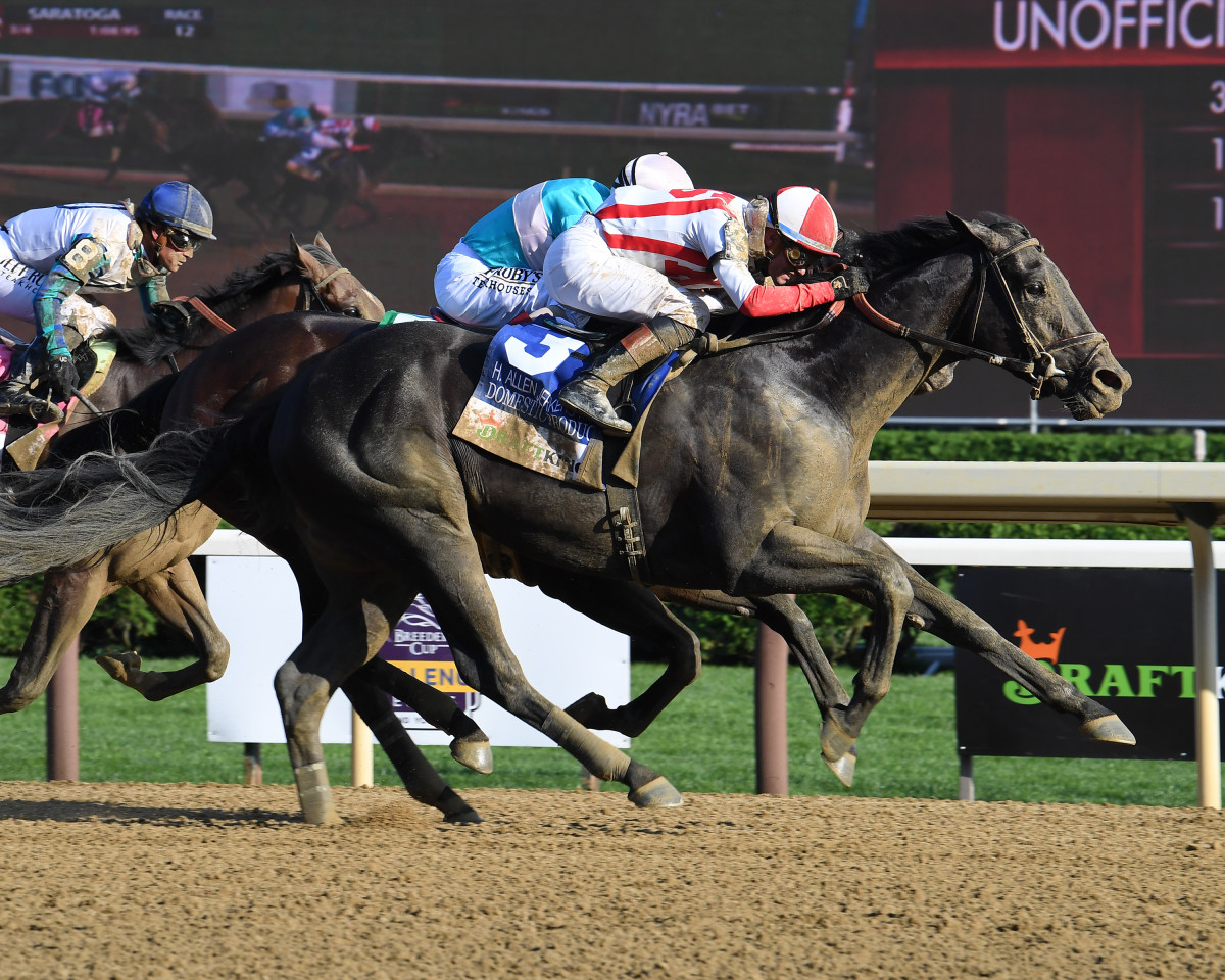 'High-Quality Horse': Domestic Product Scores Top-Level Breakthrough in H. Allen Jerkens ...