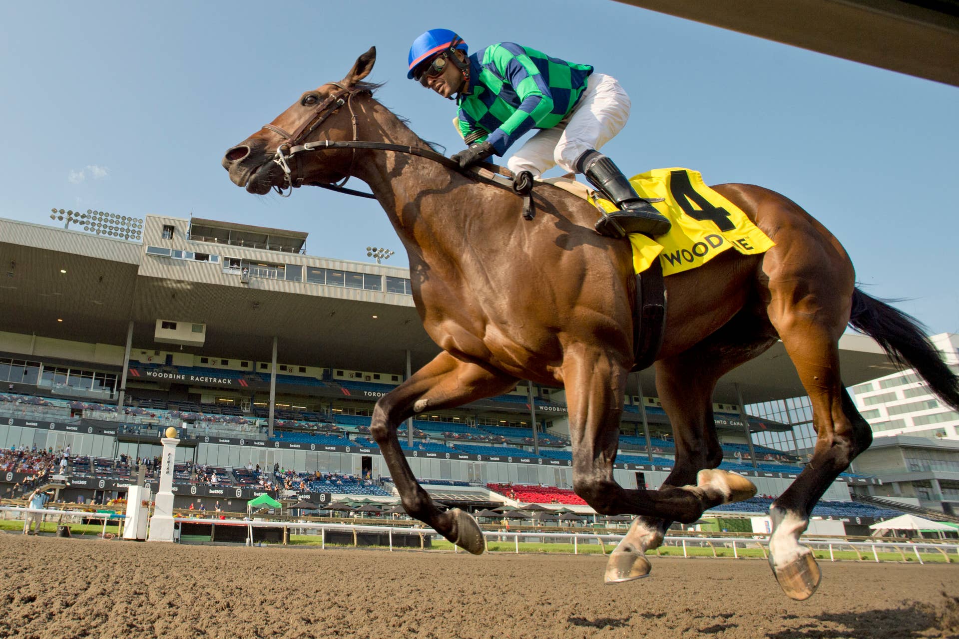 'Professional' Plate Trial Entrant Scorching Went Through 'A Lot' To ...