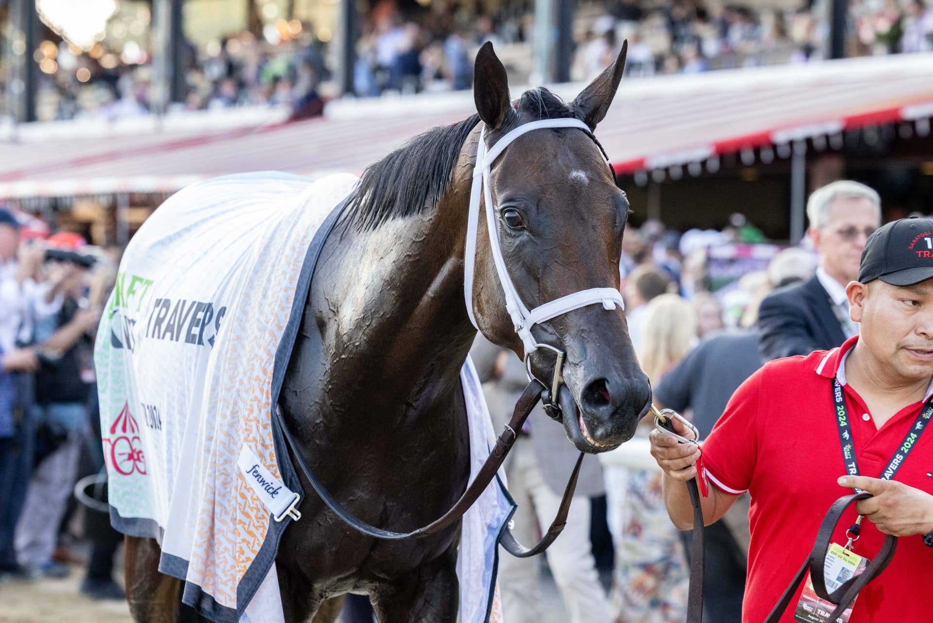 Travers Winner Fierceness To Train Up To Breeders' Cup Classic ...