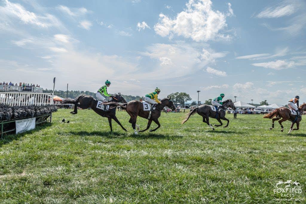 Charlottesville’s Foxfield Race Property Sold; ﻿Will Remain ...