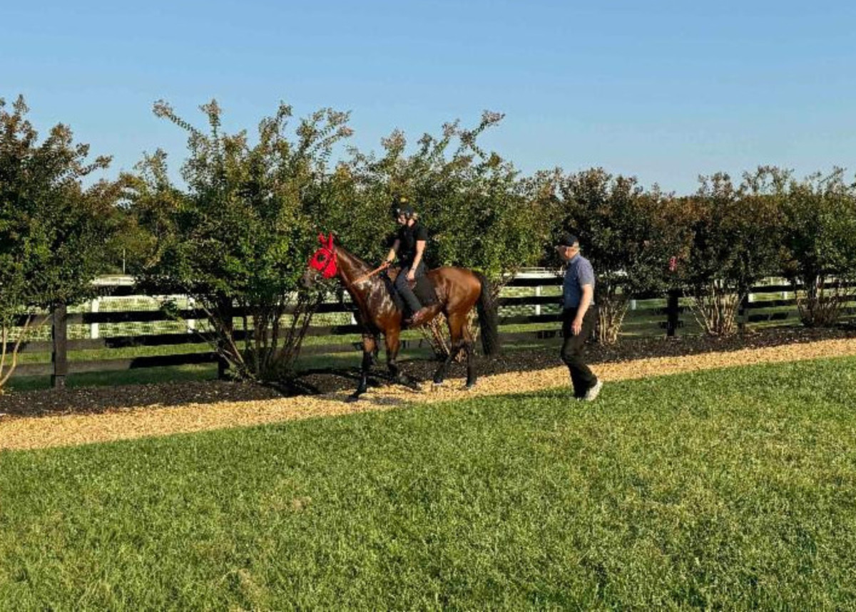 Nashville Derby Favorite Bellum Justum Gets 'A Good Look' At Kentucky ...