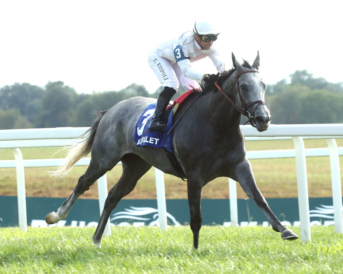 Jaipur Attracts Deep Field Of Turf Speedsters Led By Think Big, Ag ...