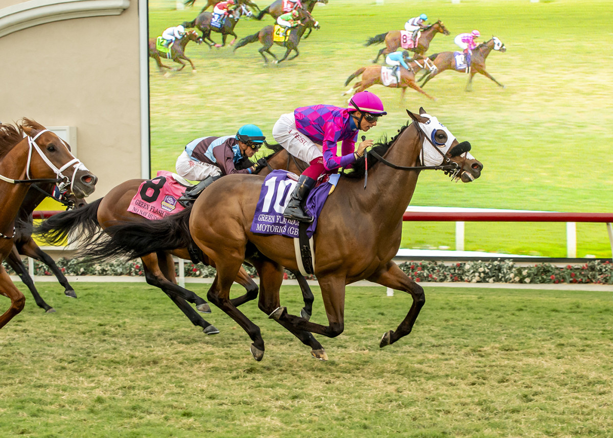 Phil D'Amato's BC Turf Sprint Runner-Up Motorious To Return In Joe ...