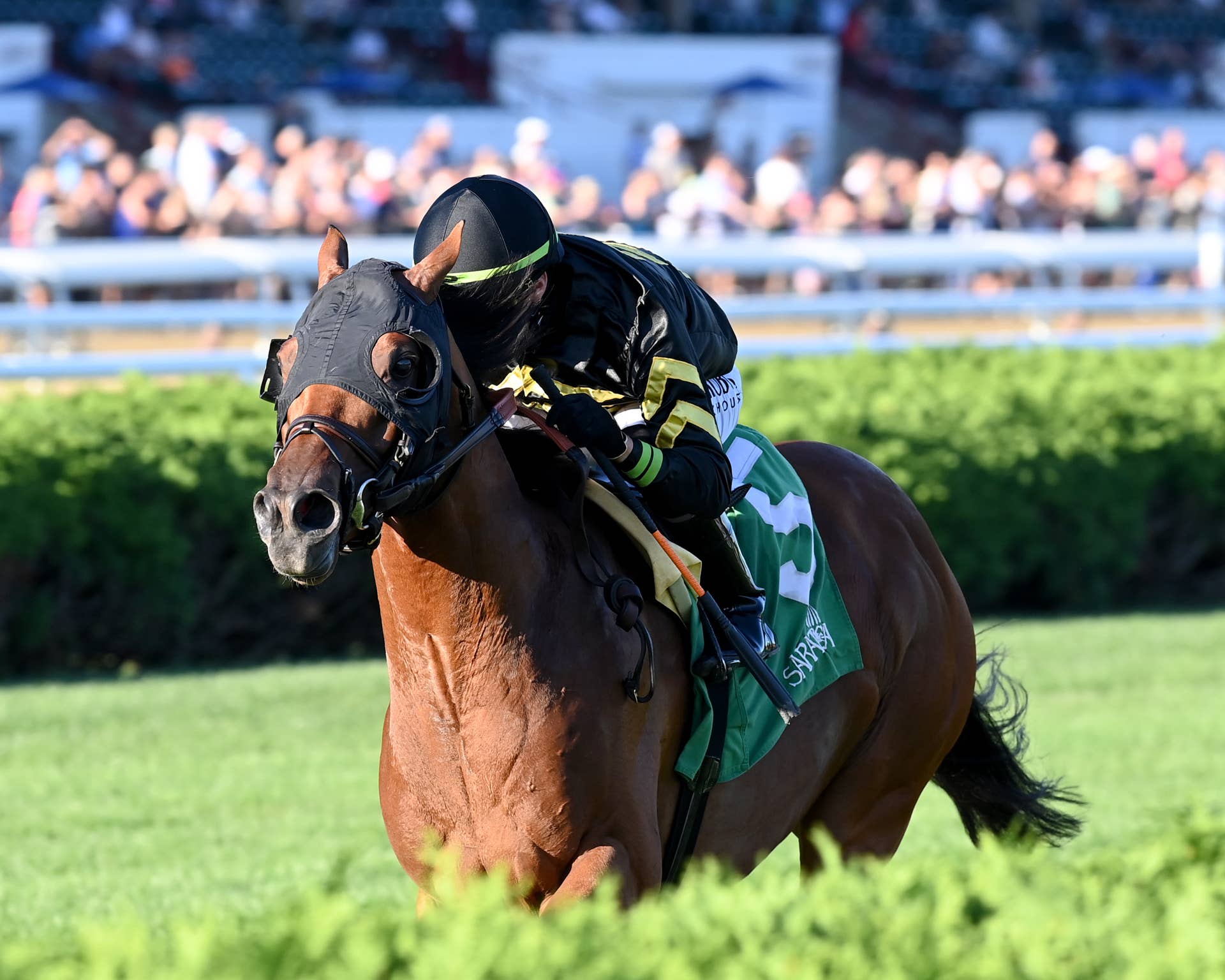 Running Bee Totes Irad Ortiz Jr. To Fifth Victory Sunday At Saratoga In ...