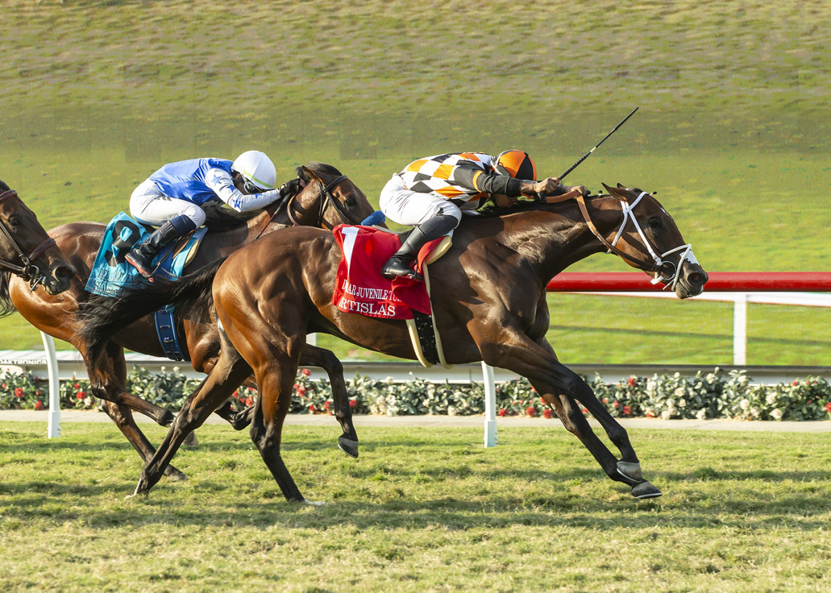 Artislas Takes Inside Path To Victory In Del Mar Juvenile Turf ...