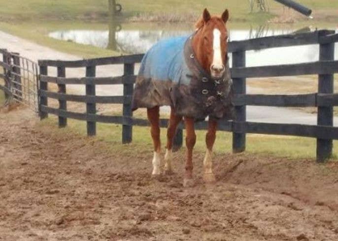 Winter Will Be Here Before You Know It; Is Your Horse Farm Ready For ...