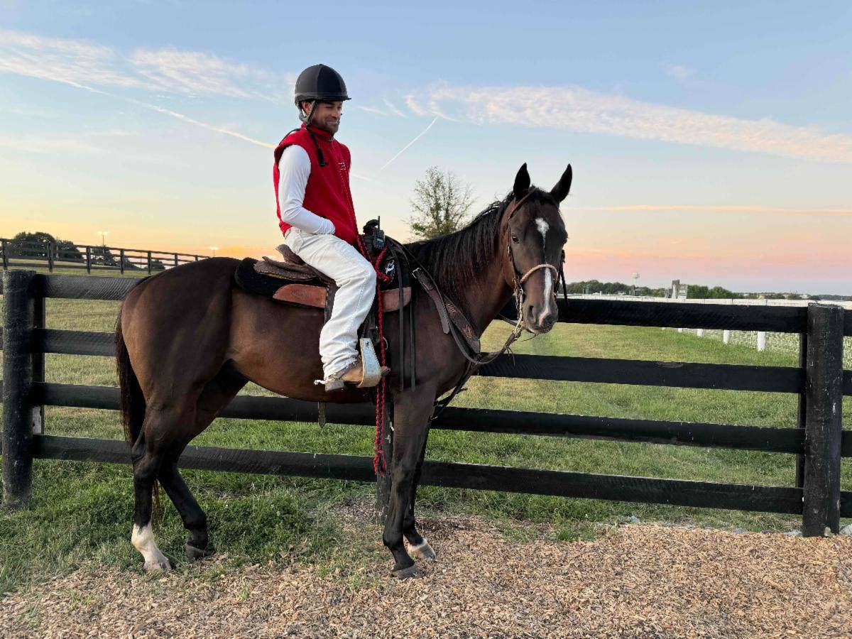 War Horse Space Mountain Thriving In Second Career As Outrider's Pony ...