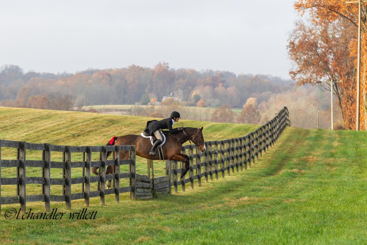 Talk Show Man Wins 2024 Bill Kraatz Thoroughbred Makeover Ambassador ...