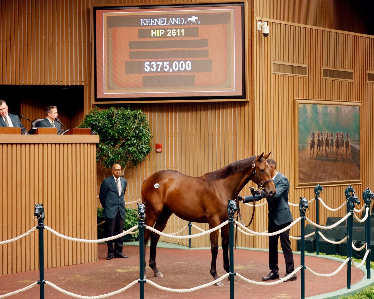$375,000 Nyquist Filly Is Tuesday’s High Seller At Keeneland September ...