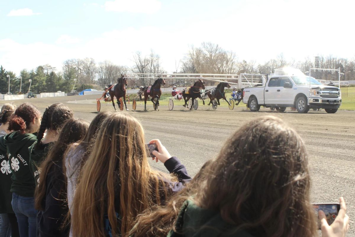 Report: Oldest U.S. Racetrack, Freehold Plans To Cease Operations Dec ...