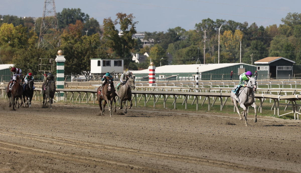 Bloodlines Presented By Walmac Farm: Long-Distance Star Next Displays ...