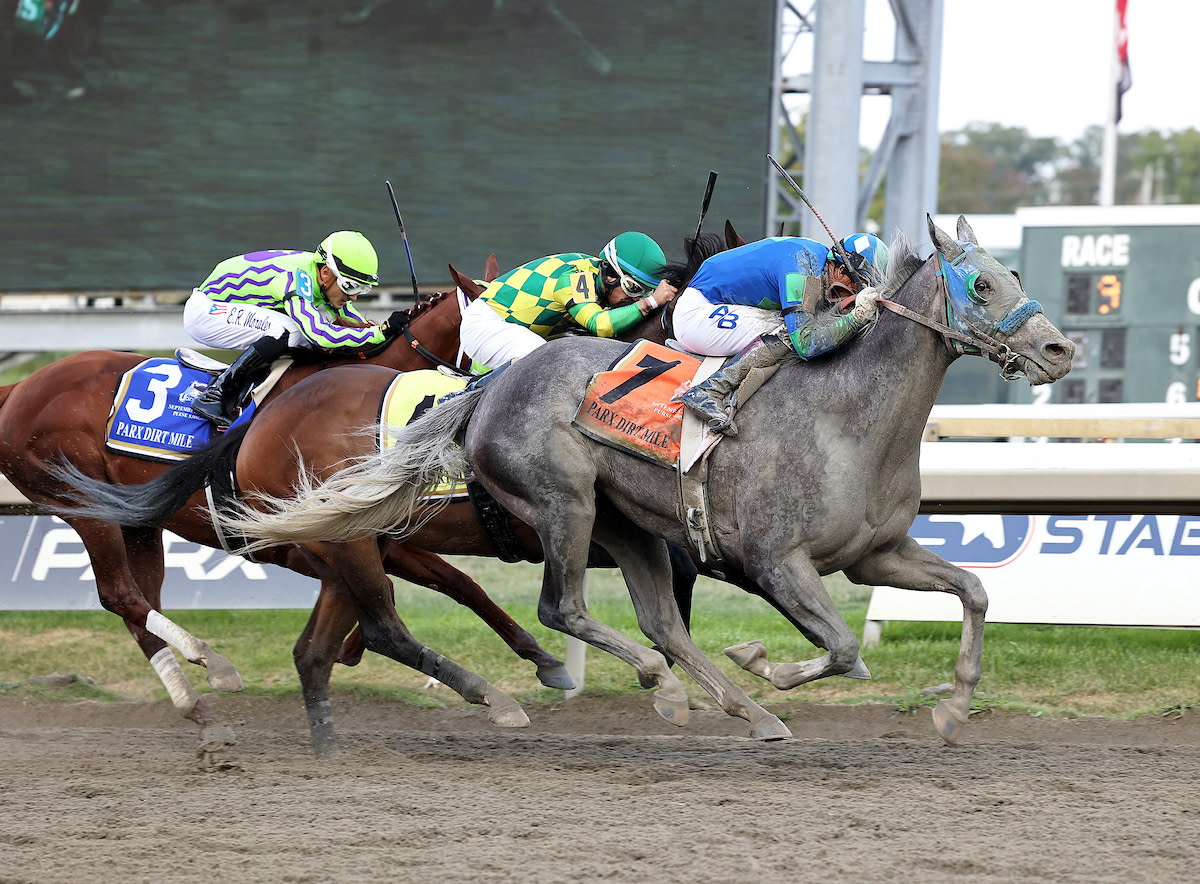 Charles Town-Based Coastal Mission Takes Parx Dirt Mile - Paulick ...