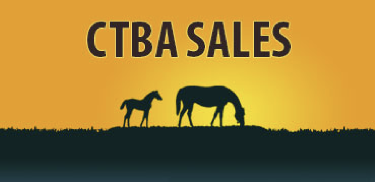 California Thoroughbred Breeders Association 2025 Winter Mixed Sale Catalog Now Online - Paulick ...