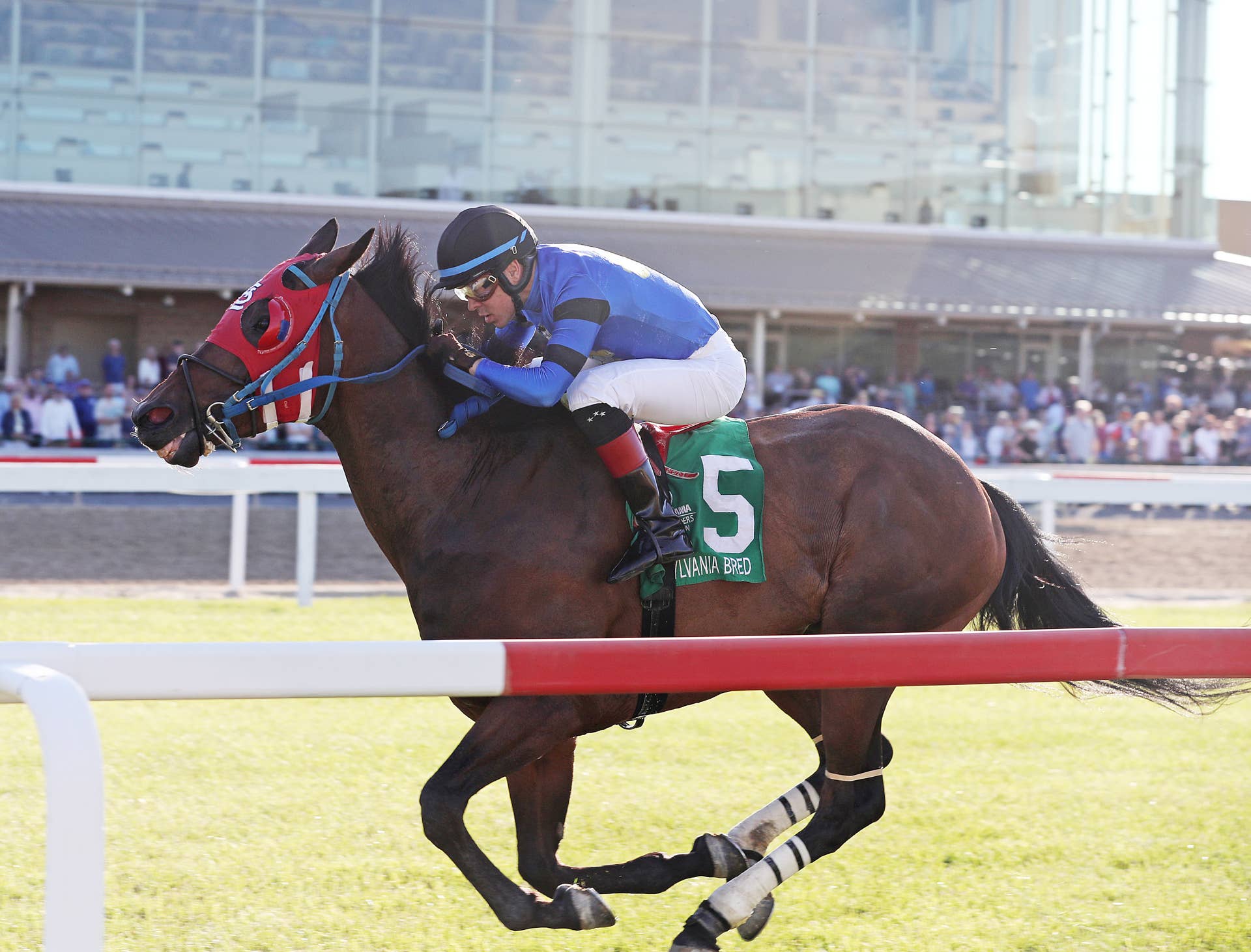 Pennsylvania Leaderboard: Fierce And Strong Takes Command Of State ...