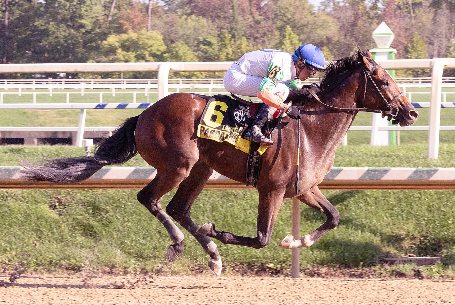 'Came With A Run At The Right Time': Pascaline Sweeps To Laurel ...