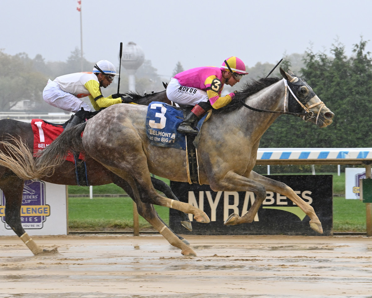 Breeders' Cup Classic Hopeful Tapit Trice Prospering In 4YO Season ...
