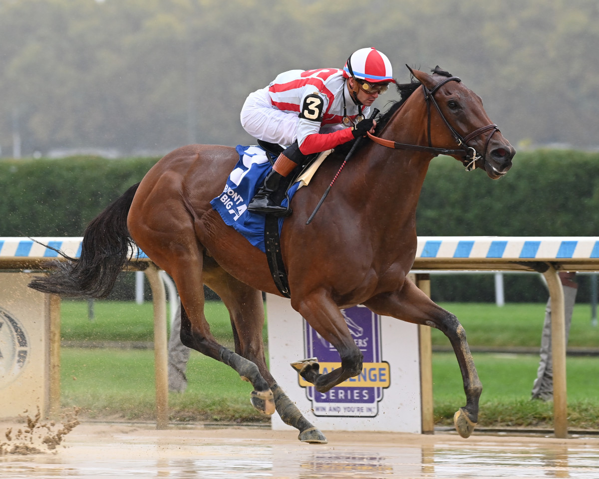 'Perfect Prep': Ways And Means Powers To Gallant Bloom Win In Prelude ...