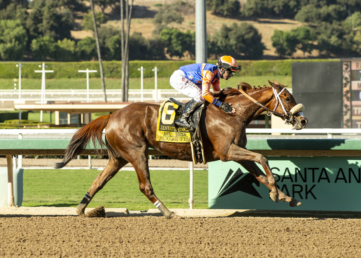 Sugar Fish Stamps Breeders' Cup Credentials With Zenyatta Victory ...