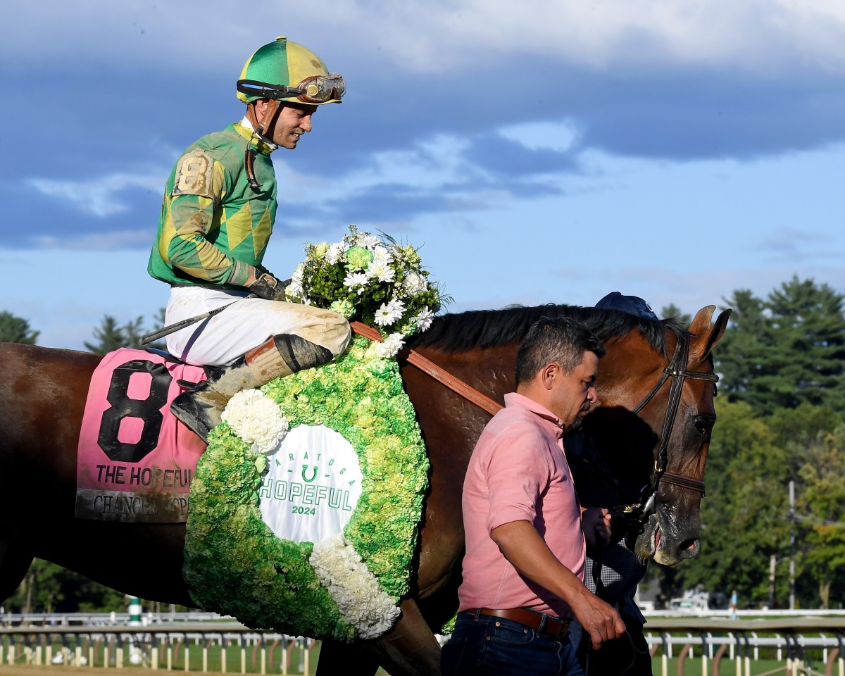 Chancer McPatrick To Stand In 2026 At Spendthrift Farm - Paulick Report ...