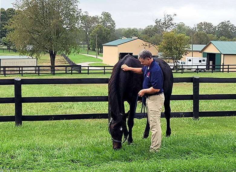 Cozmic One, First Foal Of Zenyatta, Retired To Old Friends - Paulick ...
