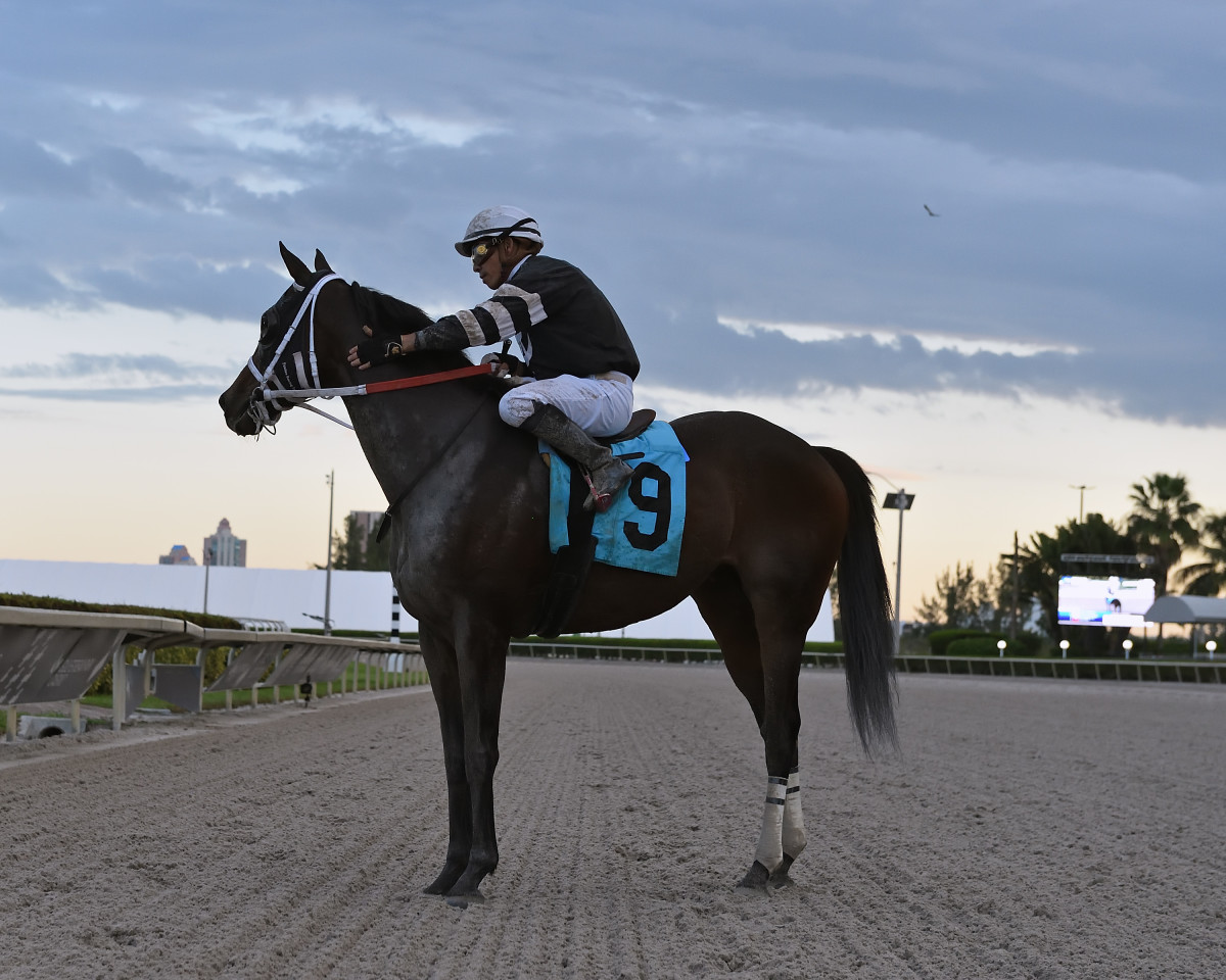 'He Made The Races Exciting': 9-Year-Old Noble Drama Retired From ...