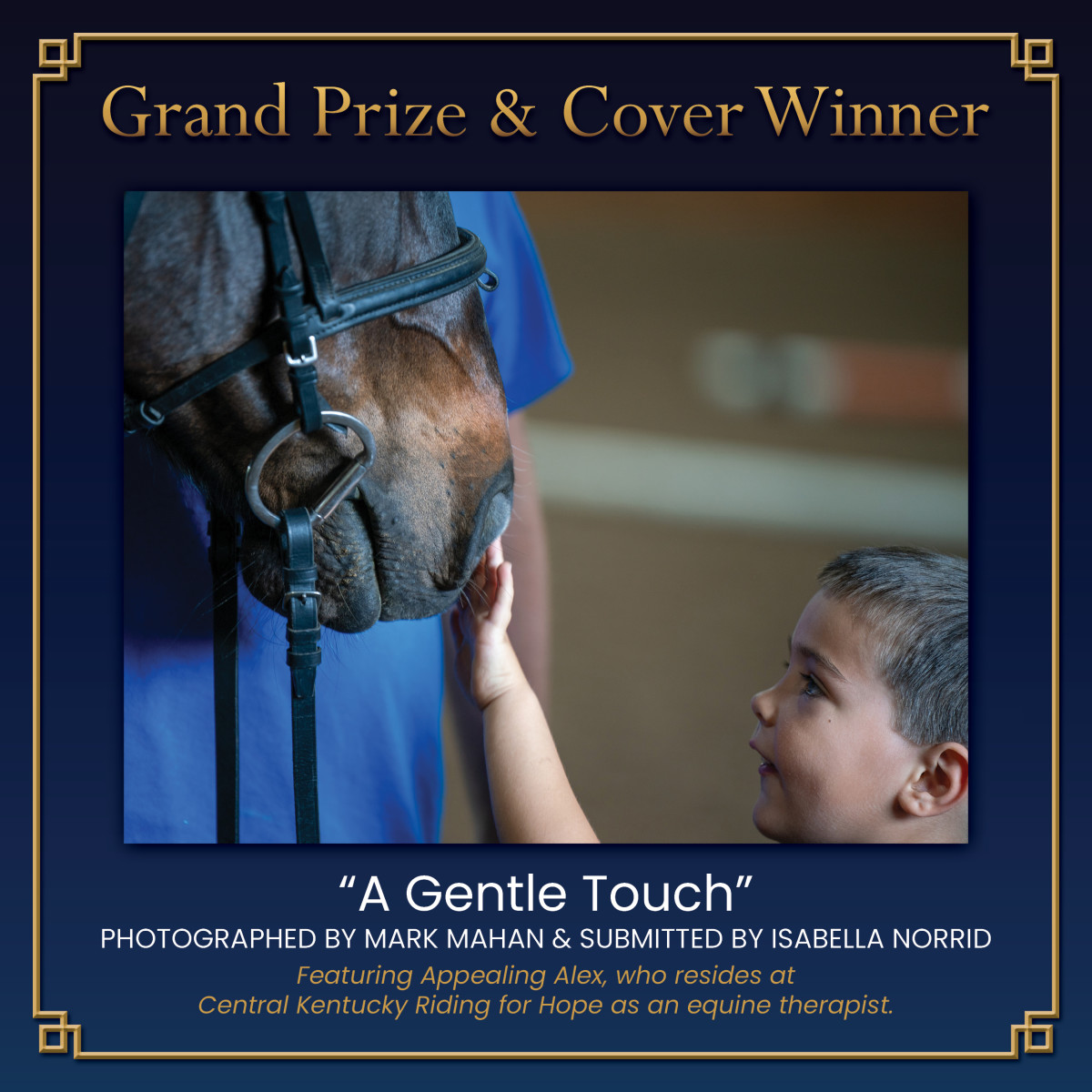 Thoroughbred Aftercare Alliance Announces Fourth Annual Calendar Photo ...