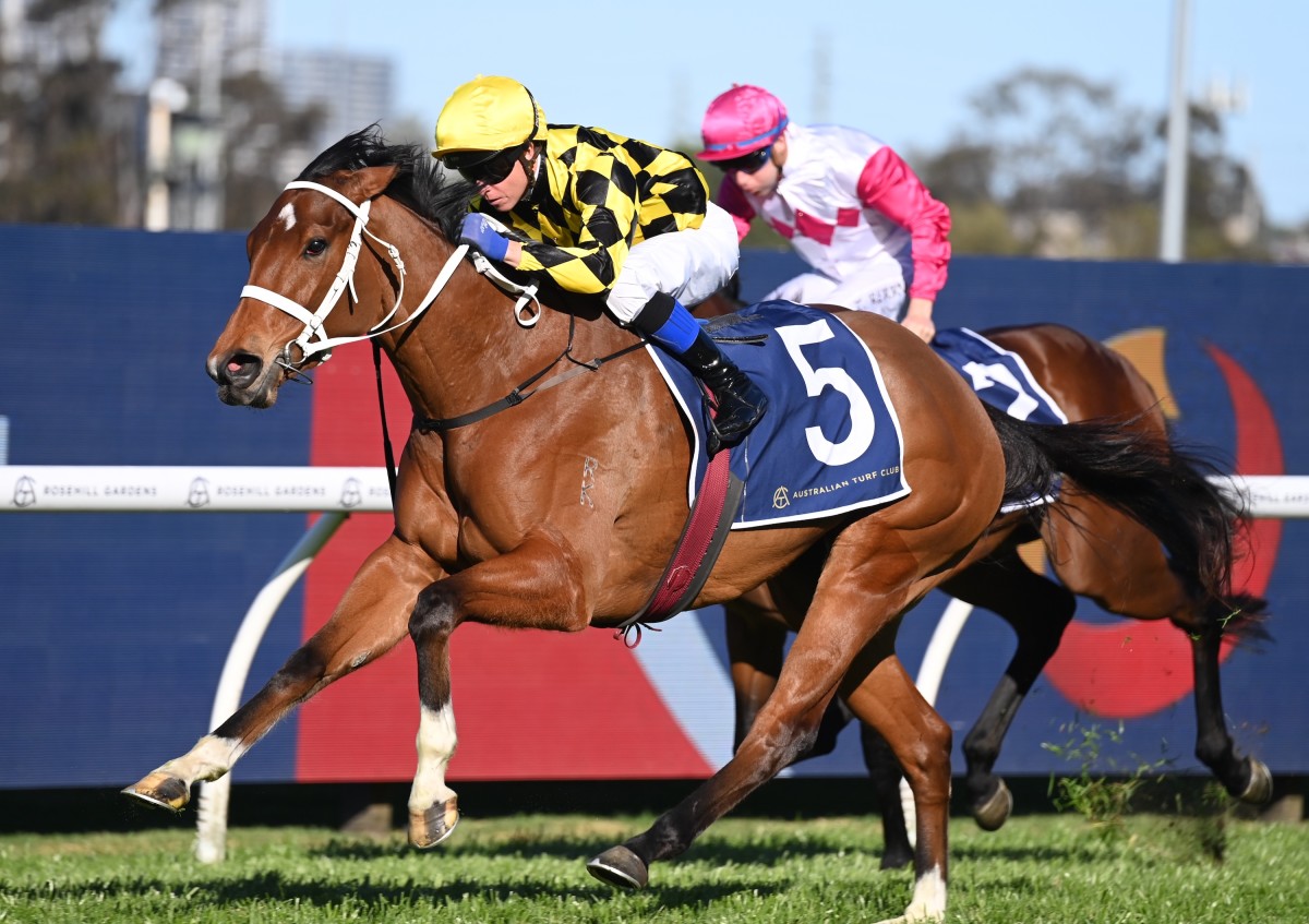 Australia: Three Group 1s And An Autumn Glow - Paulick Report | Latest ...