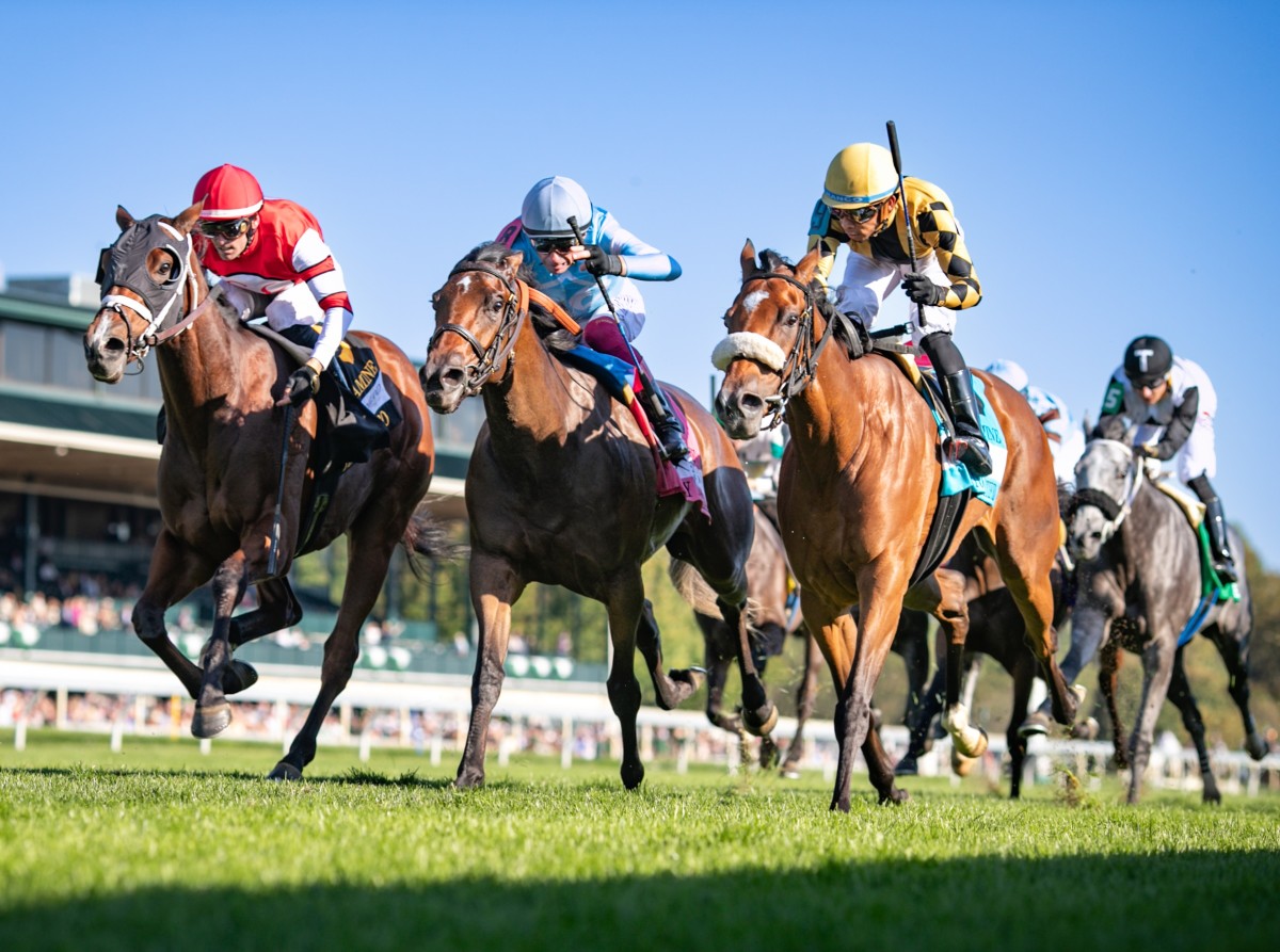 'She Has A Lot Of Heart': May Day Ready Noses Out Rivals In Jessamine ...