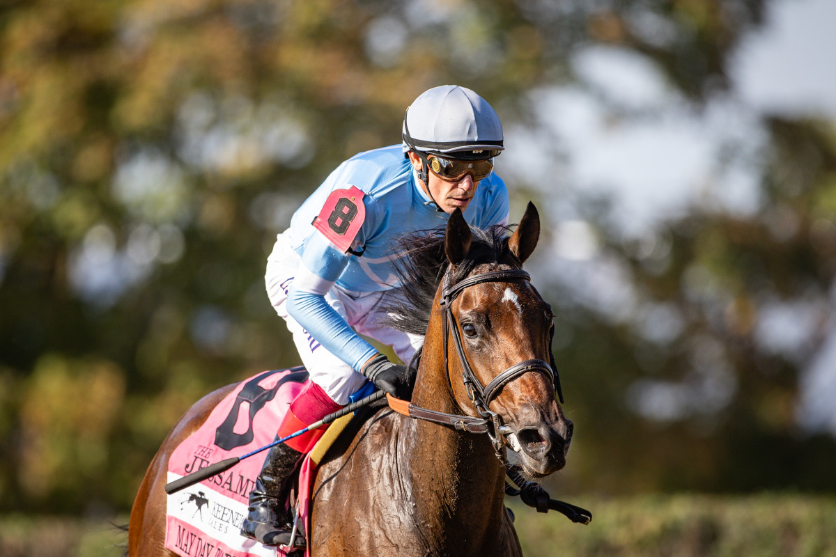 May Day Ready Chases First Win Of Year In Lake Placid - Paulick Report ...