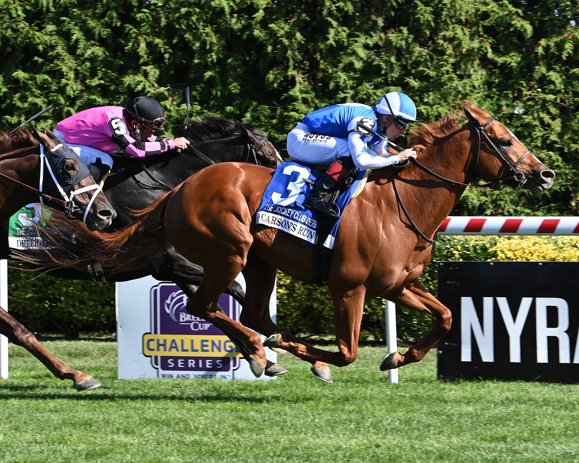 Carson’s Run, Deterministic Formidable Pair For Christophe Clement In ...