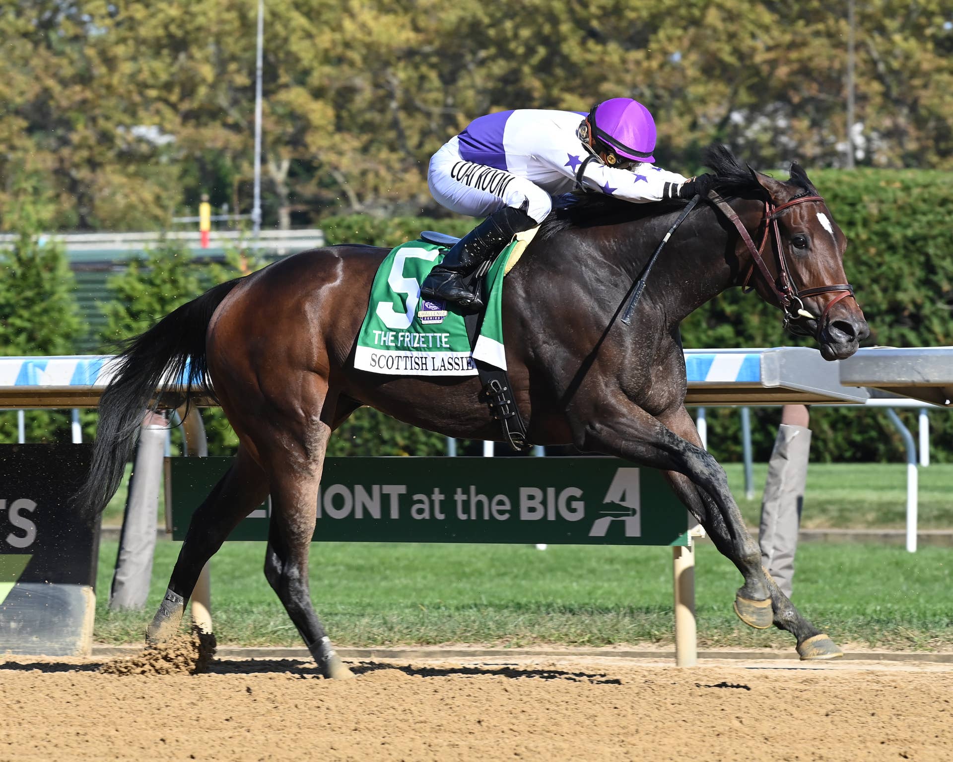 Frizette Winner Scottish Lassie Posts Half-Mile Breeze For Breeders ...