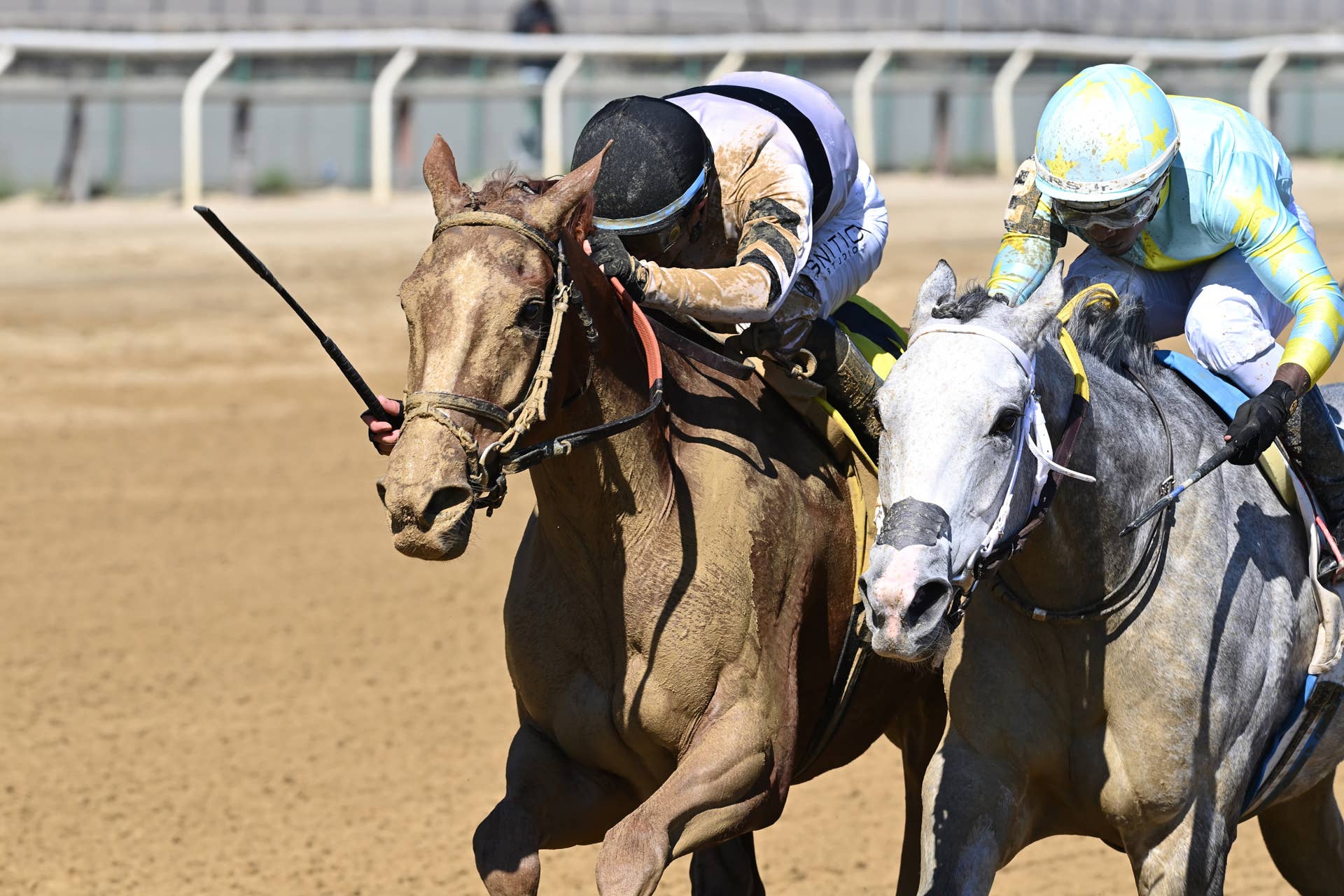 Raging Sea Digs Down Deep For Beldame Victory - Paulick Report | Latest ...