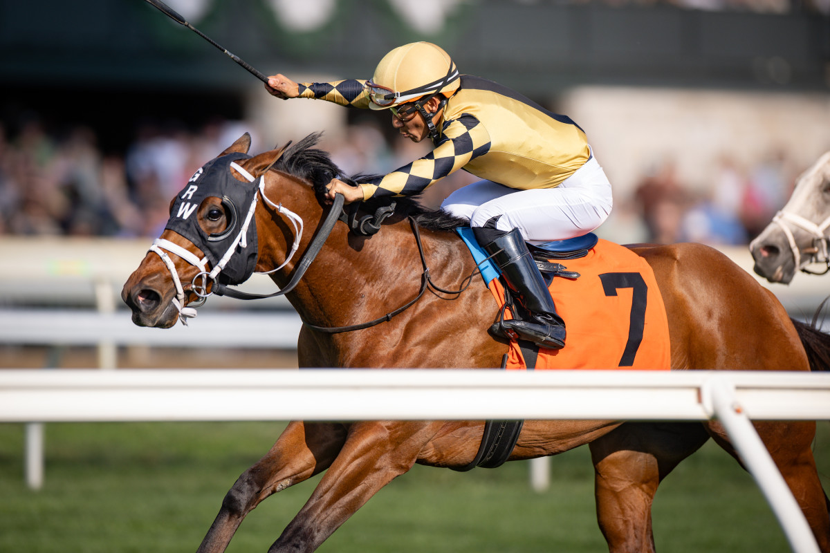 Governor Sam Tries To 'Bounce Back' In Sunday's Quick Call - Paulick ...