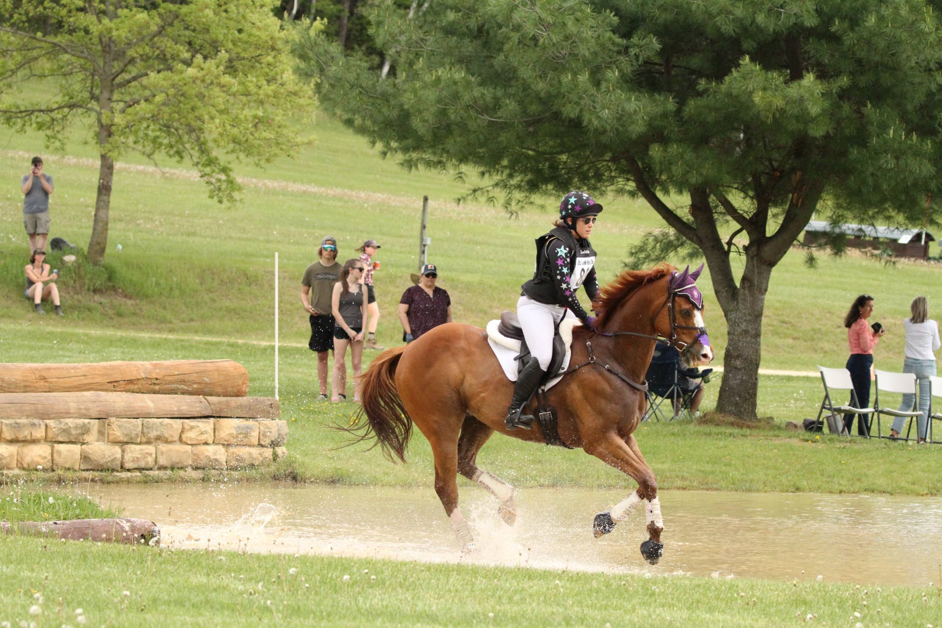 Minnesota’s Top-Earning Thoroughbred Hopes To Add Eventing Honors To ...