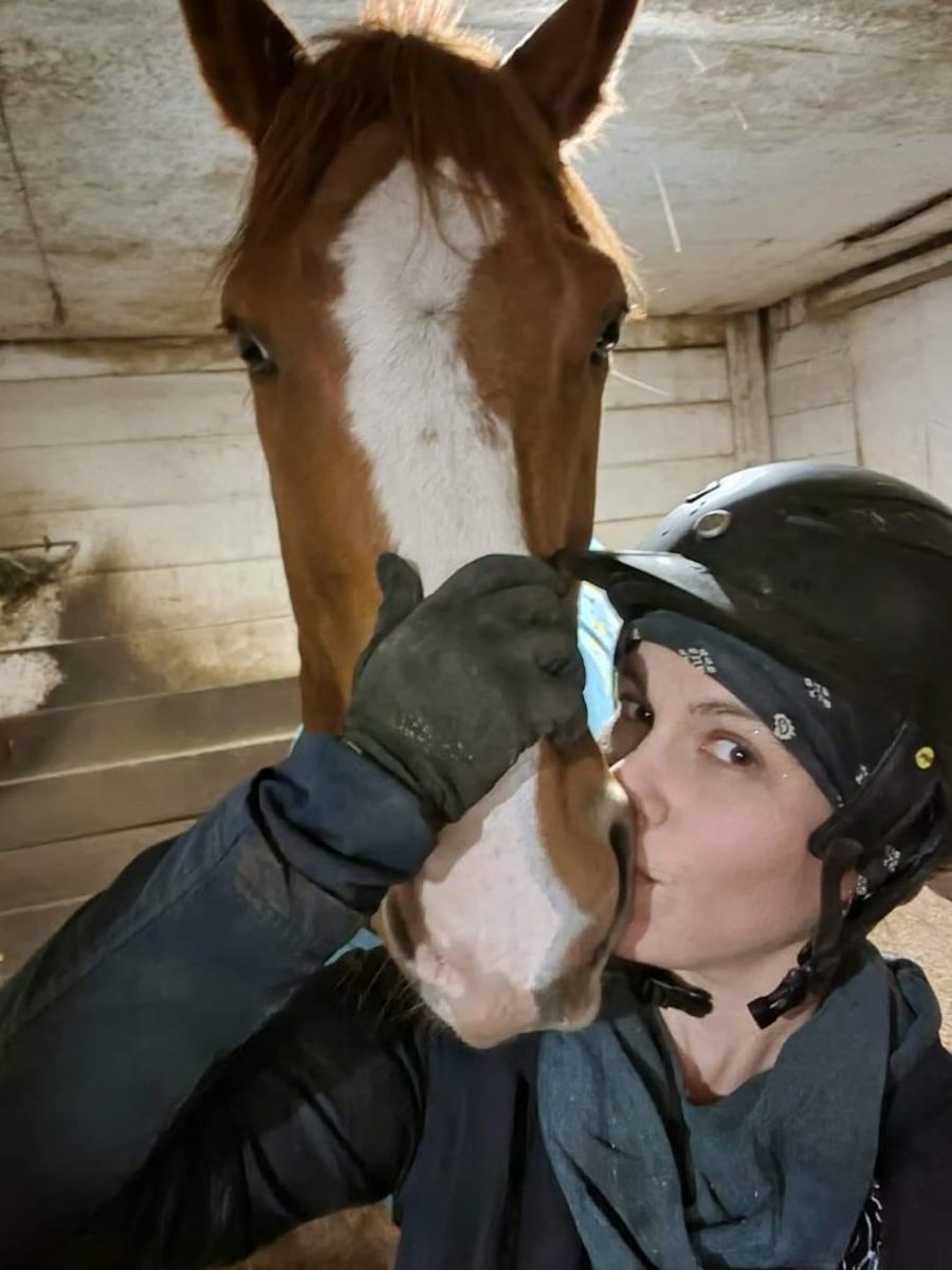 Minnesota’s Top-Earning Thoroughbred Hopes To Add Eventing Honors To ...