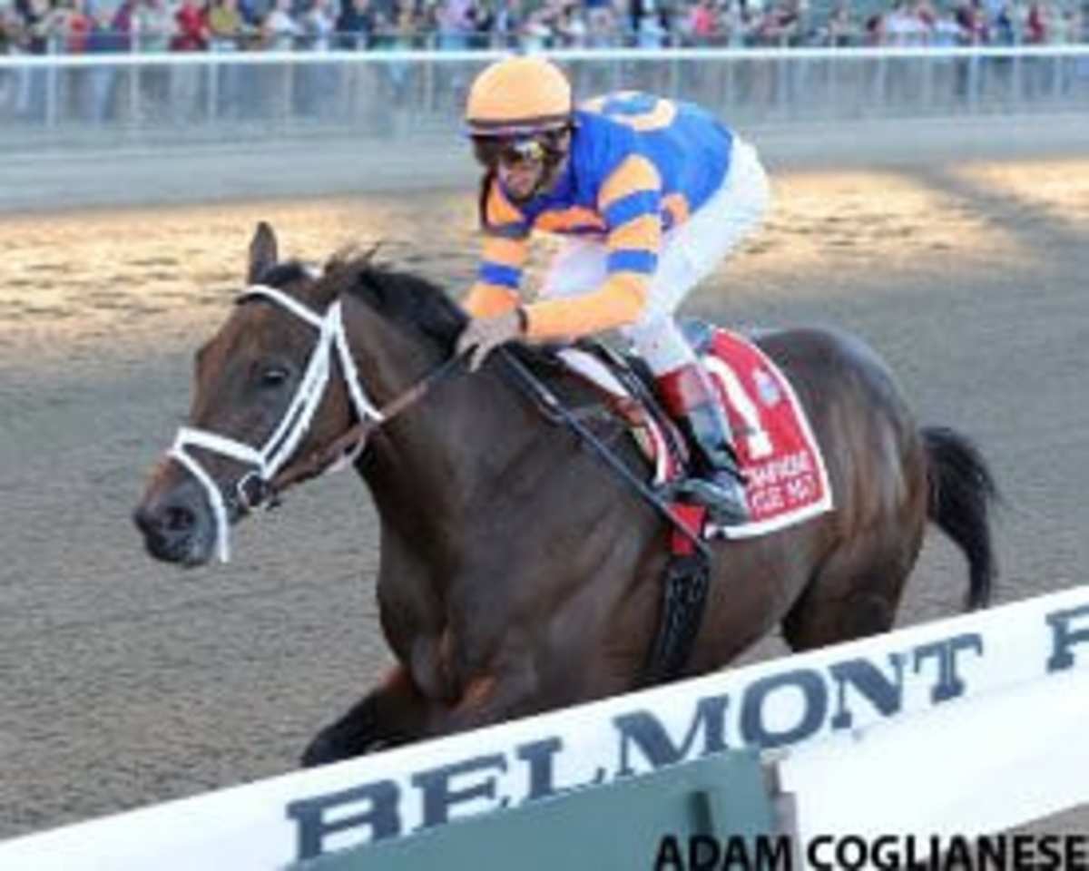 Uncle Mo 9-5 favorite against seven rivals in King's Bishop - Paulick ...