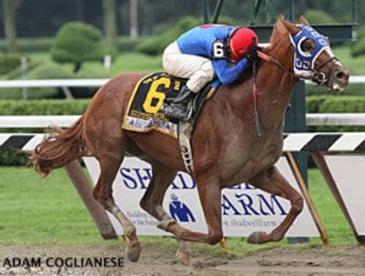 WinStar buys interest in all four Pauls Mill stallions - Paulick Report ...