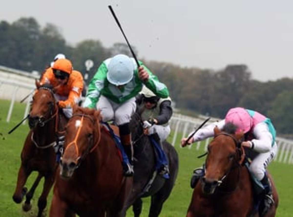 Australian Racing Board Rejects Potential University Study on Whip Use ...