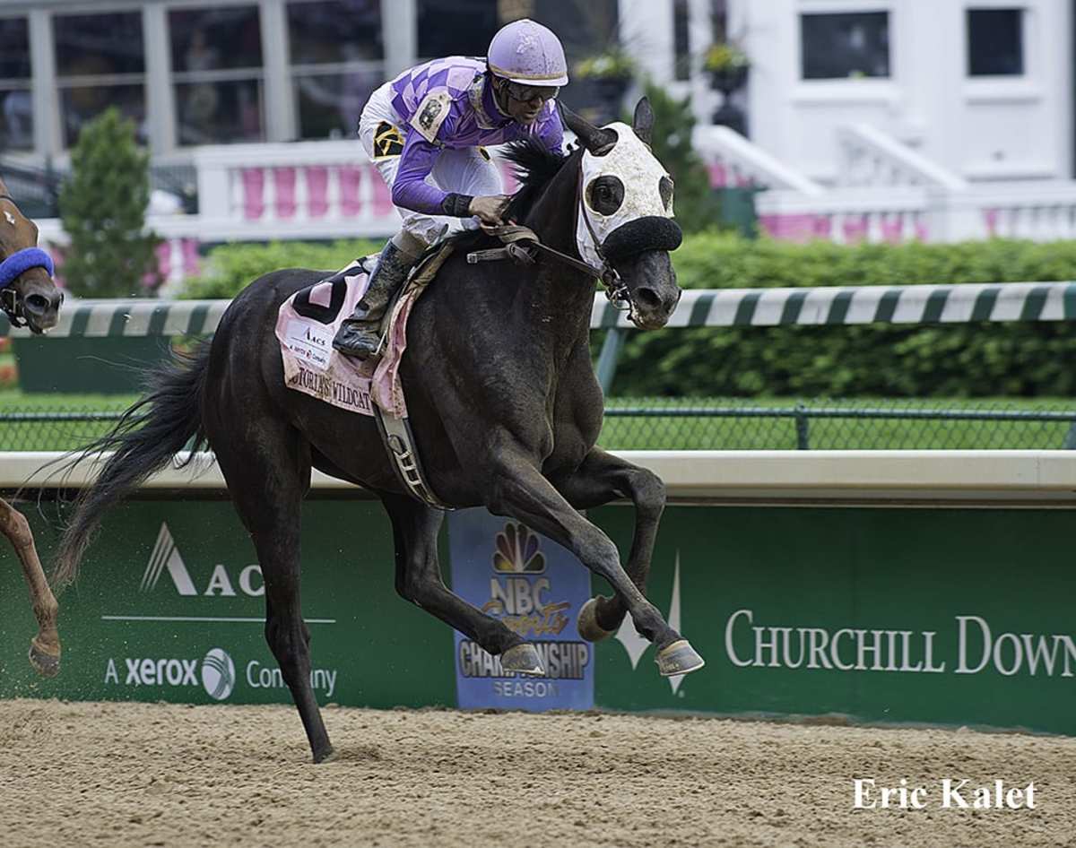 Victoria's Wildcat takes Eight Belles Stakes - Paulick Report | Latest ...