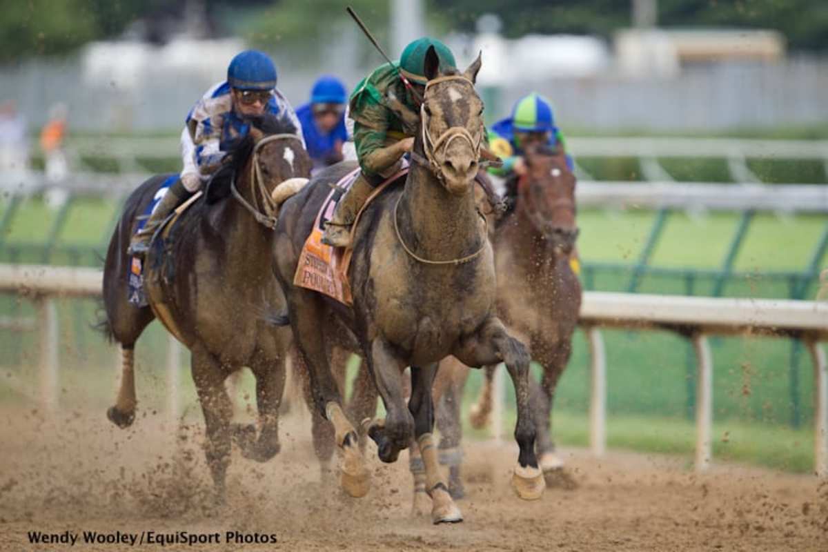 Pool Play Targeting Second Stephen Foster Title - Paulick Report ...