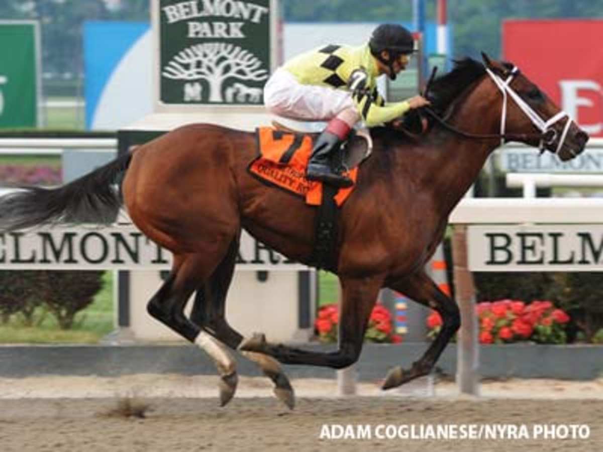 First Starter a Winner for Freshman Sire Quality Road - Paulick Report ...