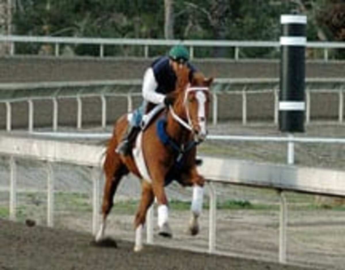 Horse Tests Positive For EHV At San Luis Rey, Negative For Neurologic ...