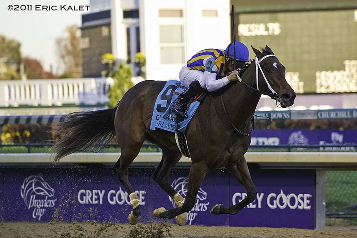 My Miss Aurelia will head to California for 3-year-old campaign ...
