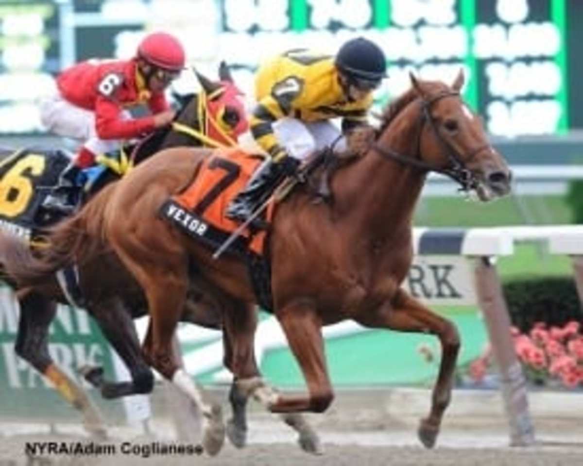 Vexor battles it out for Nashua victory - Paulick Report | Latest news ...