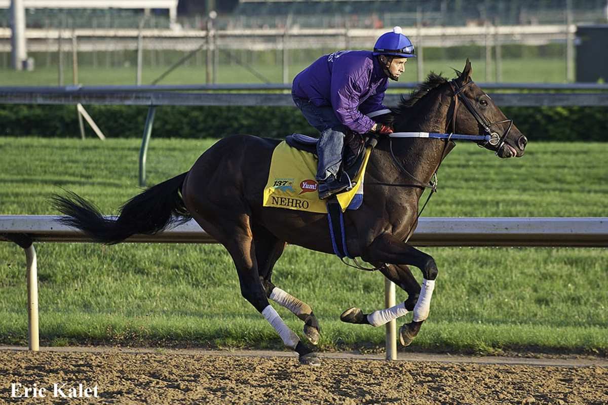 Nehro Dies of Colic - Paulick Report | Latest news and commentary from ...